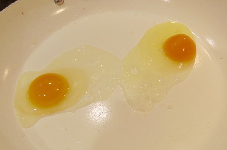 Making Sense of Egg Labels – Peppers and Planks